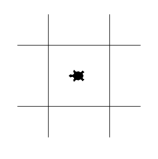 PYTHON with Turtle Drawing: RETO #2 – EDUCAR para el CAMBIO